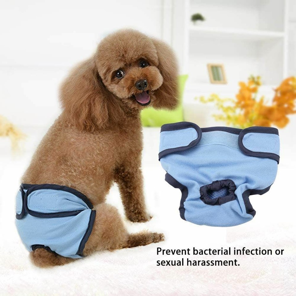 Washable Female Pet Dog Cat Nappy Diaper Physiological Pants Panties ...