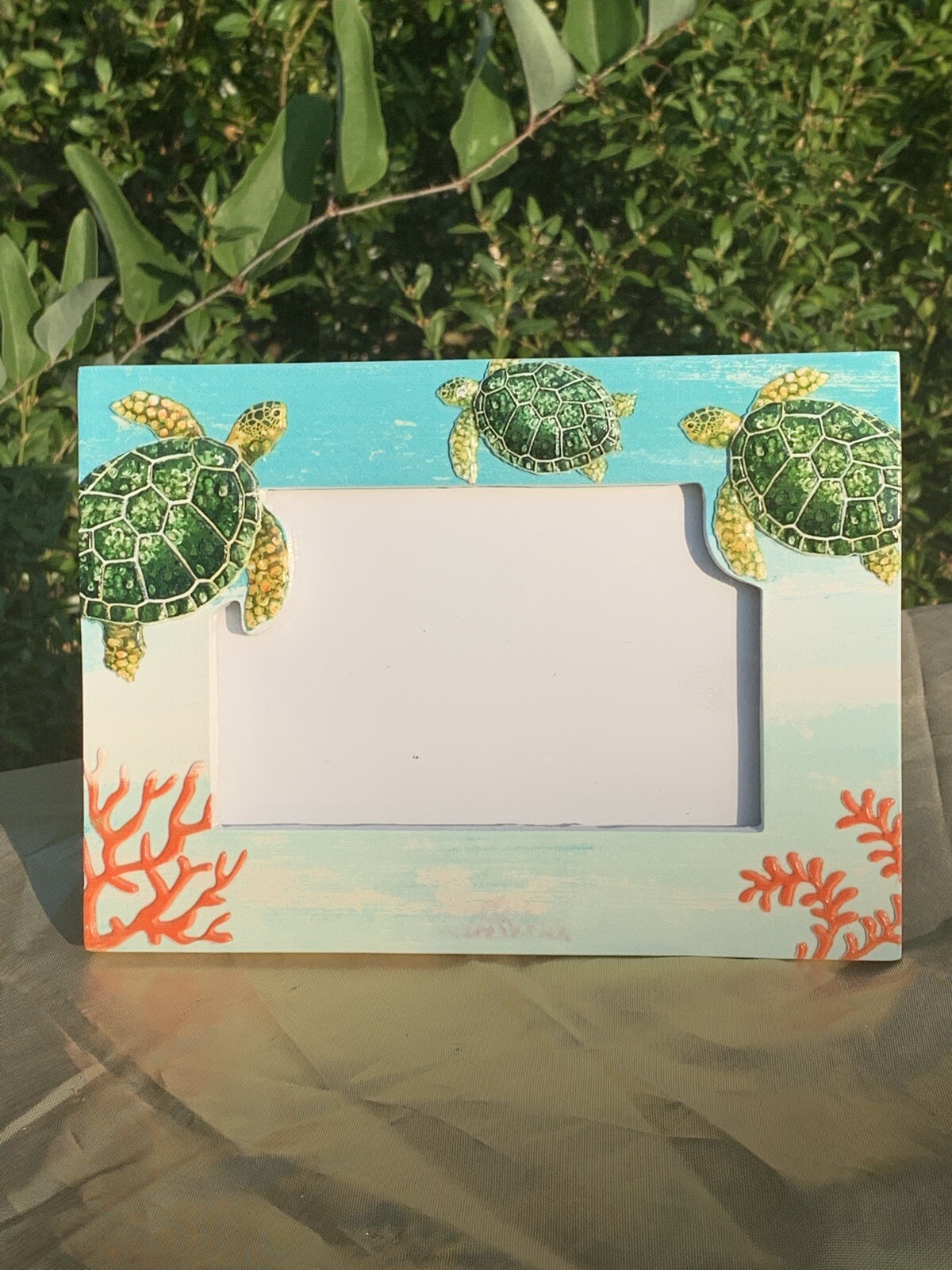 Vintage TORTOISE SEA TURTLE Great Hatch To Ocean Coral Reef Photo Frame ...