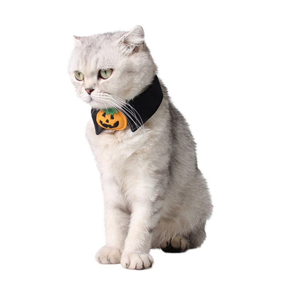 Dog Accessory Halloween Costumes Goth Cat Collar Buster for Cats | eBay ...