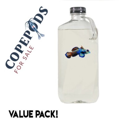 1 Gallon Copepods - Tisbe, Trigio, Apo Copepods - Shipped with Phyto In ...
