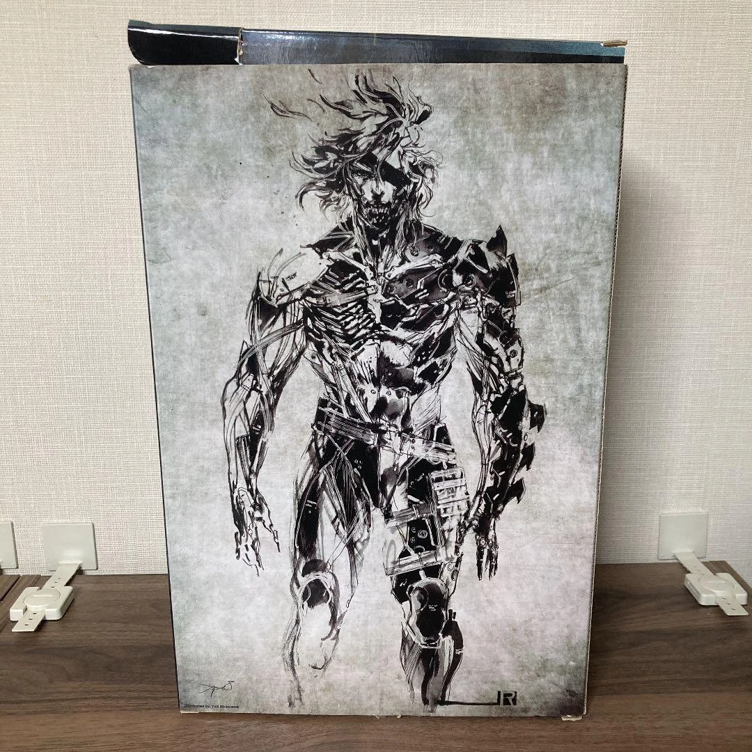 Metal Gear Rising Raiden Drawing