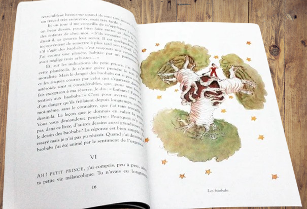 LE PETIT PRINCE -The Little Prince (French Language) | eBay