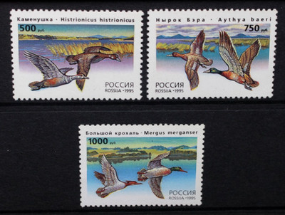 SOVIET UNION RUSSIA 1995 Birds Ducks. Set of 3. Mint Never Hinged ...