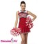 Ladies Glee Cheerleader Costume School Girl Full Outfits Fancy Dress ...