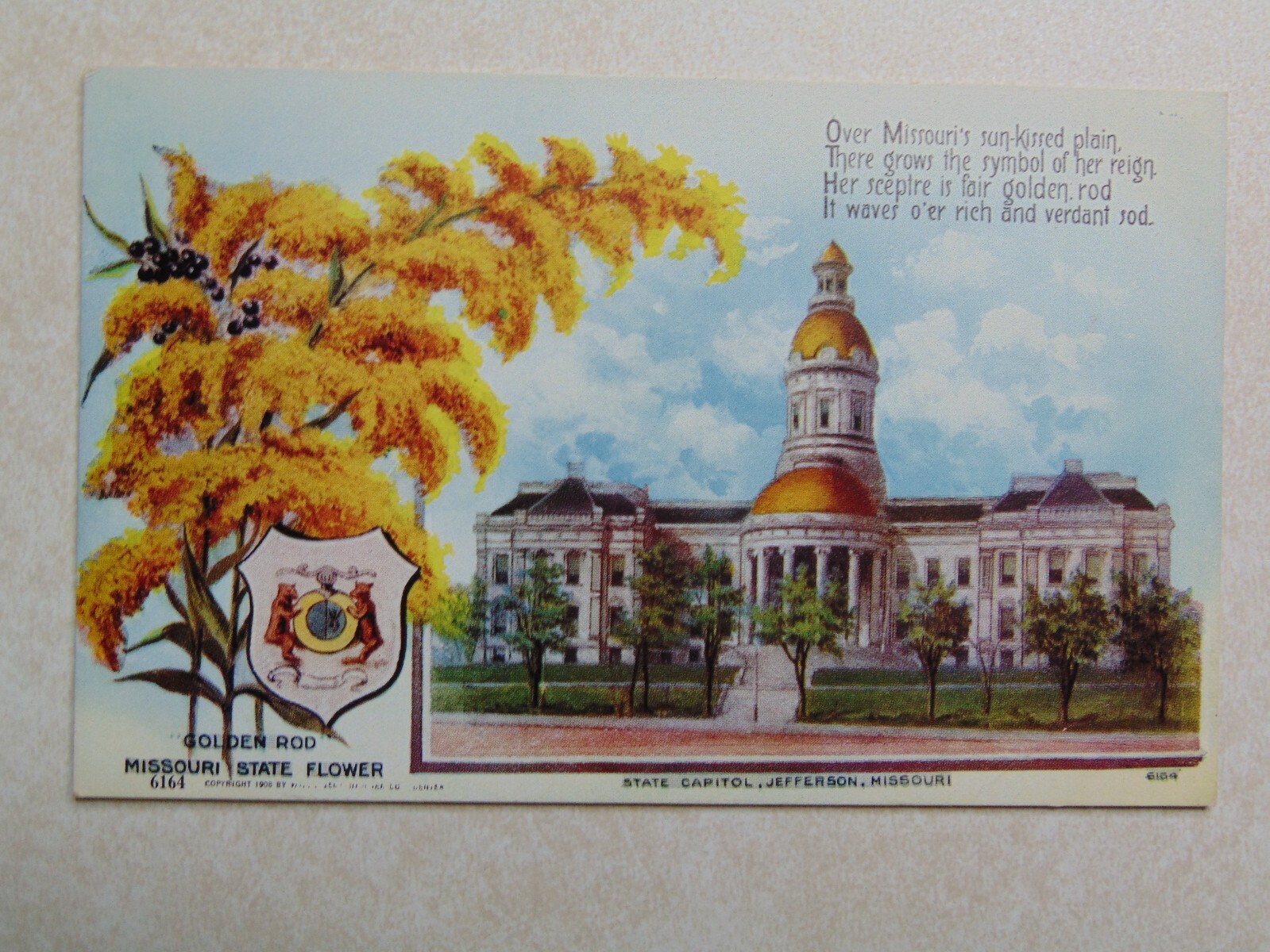 D1034 Postcard Golden Rod Missouri State Flower and Capitol Jefferson ...