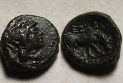 Rare genuine Ancient Greek coin Macedonia Pella Athena bull grazing | eBay