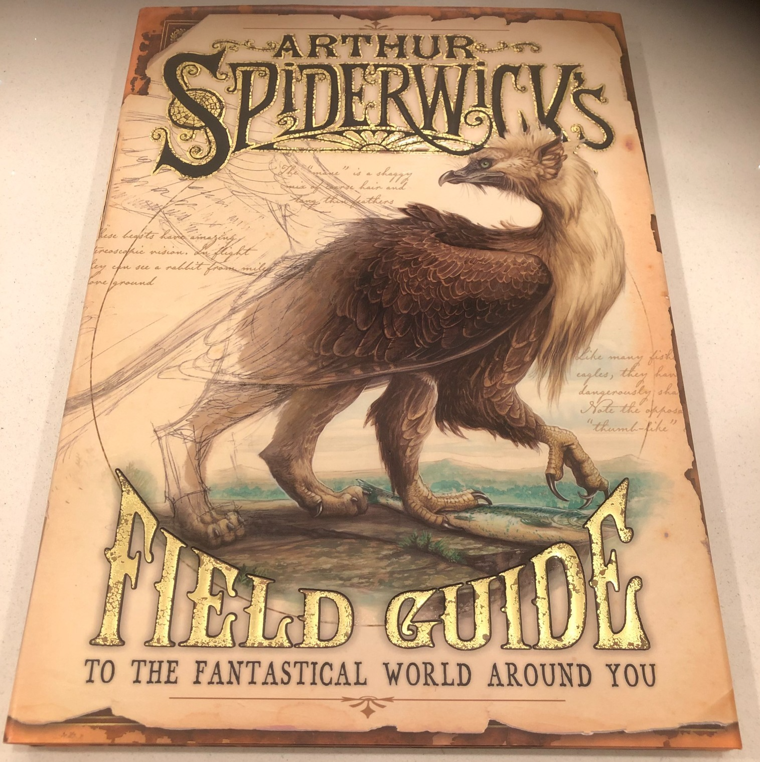 Arthur Spiderwick's Field Guide to the Fantastical World Around You ...