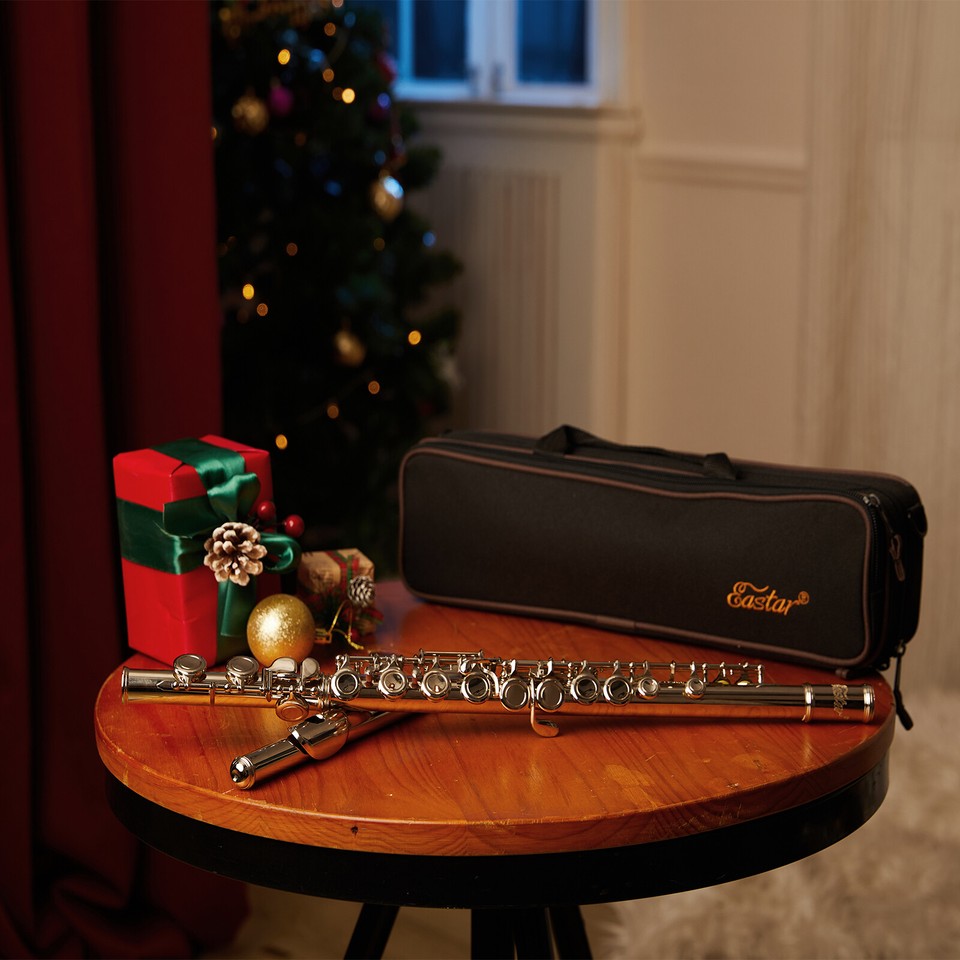 🎵 Eastar CONCERT FLUTE WITH CARRY CASE STAND FOR STUDENT SCHOOL BAND ...