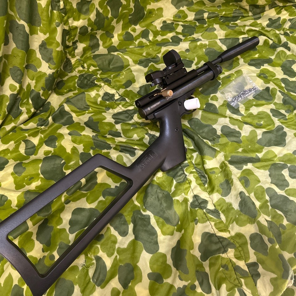 🌲🌲Custom Crosman 2240XL Carbine, C02, .22. Many Enhancing Extras. 🌲🌲 | eBay