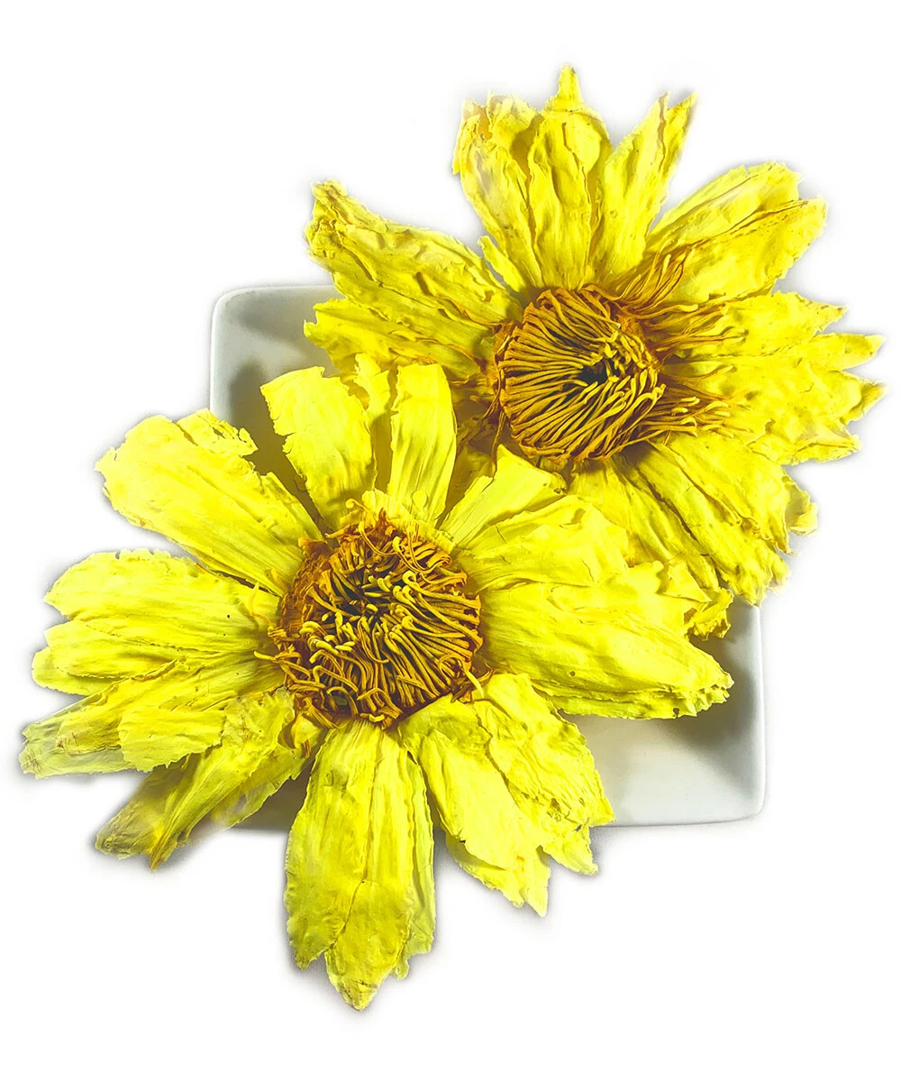 Free Flower Petal Samples | Best Flower Site