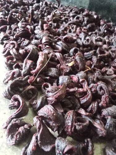 Ceylon Dried Goraka 100% Natural Garcinia Cambogia Weight Loss ...