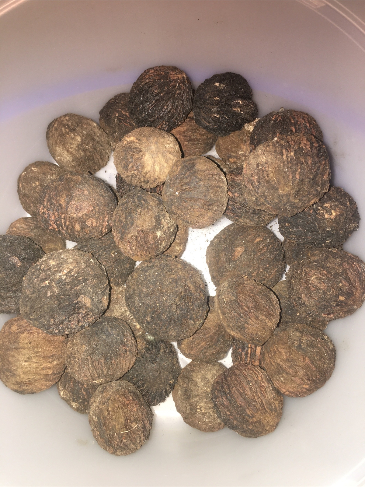 100+ pieces Whole Black Walnuts in Shell | eBay