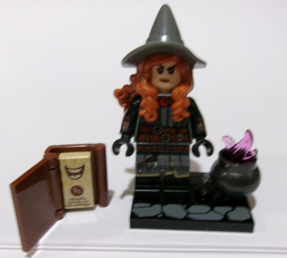 Lego Dungeons & Dragons LOT Tasha the Witch Queen & Elf Bard with DD ...