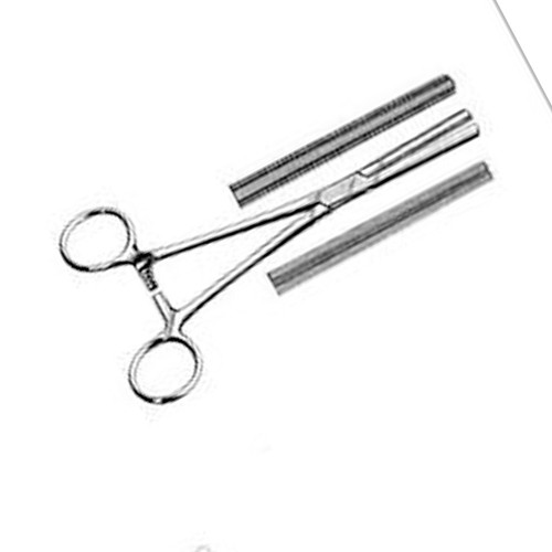 Ferguson Angiotribe Forceps 7.50" Straight Surgical Veterinary ...