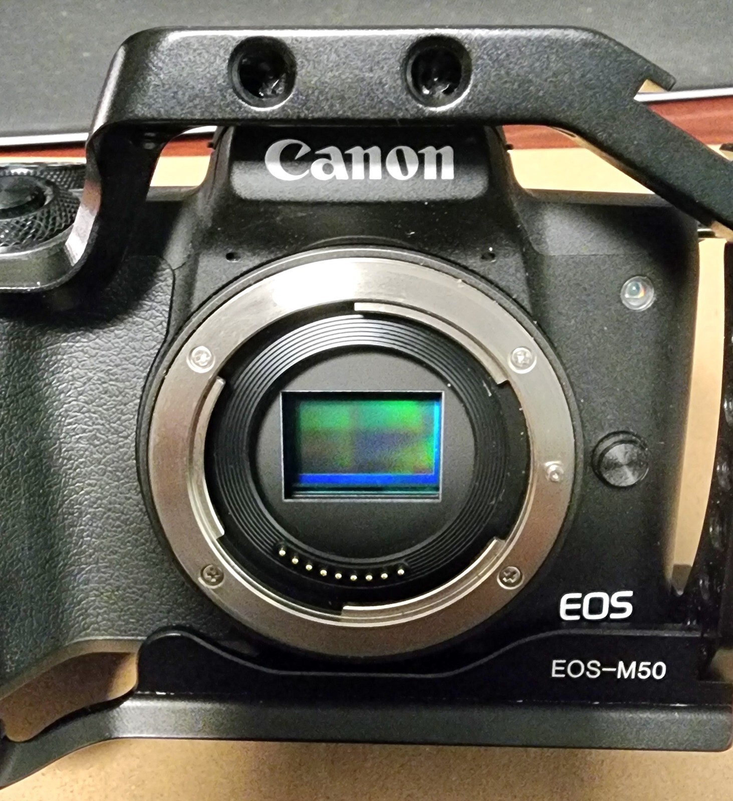 Canon EOS M50 24.1MP Mirrorless Camera - Black (Kit with 15-45mm STM ...