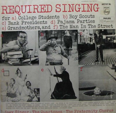 REQUIRED SINGING Joey Singer LP | eBay Australia