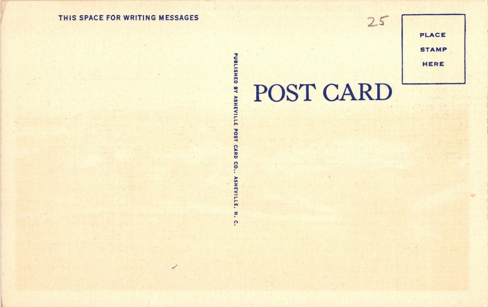 View Overlooking Blue Ridge Sanatorium, Charlottesville VA Vintage ...