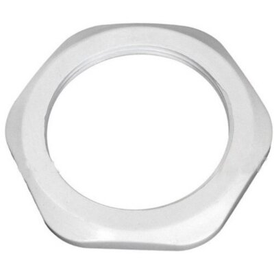 Pentair 87200800 Nut Liner Sealing 2 Inches ABS | eBay