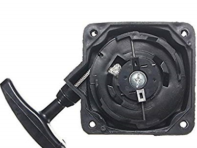 ILS - Pull Start Starter 33cc 49cc 2 Stroke Engine GS Moon Mini Pocket ...