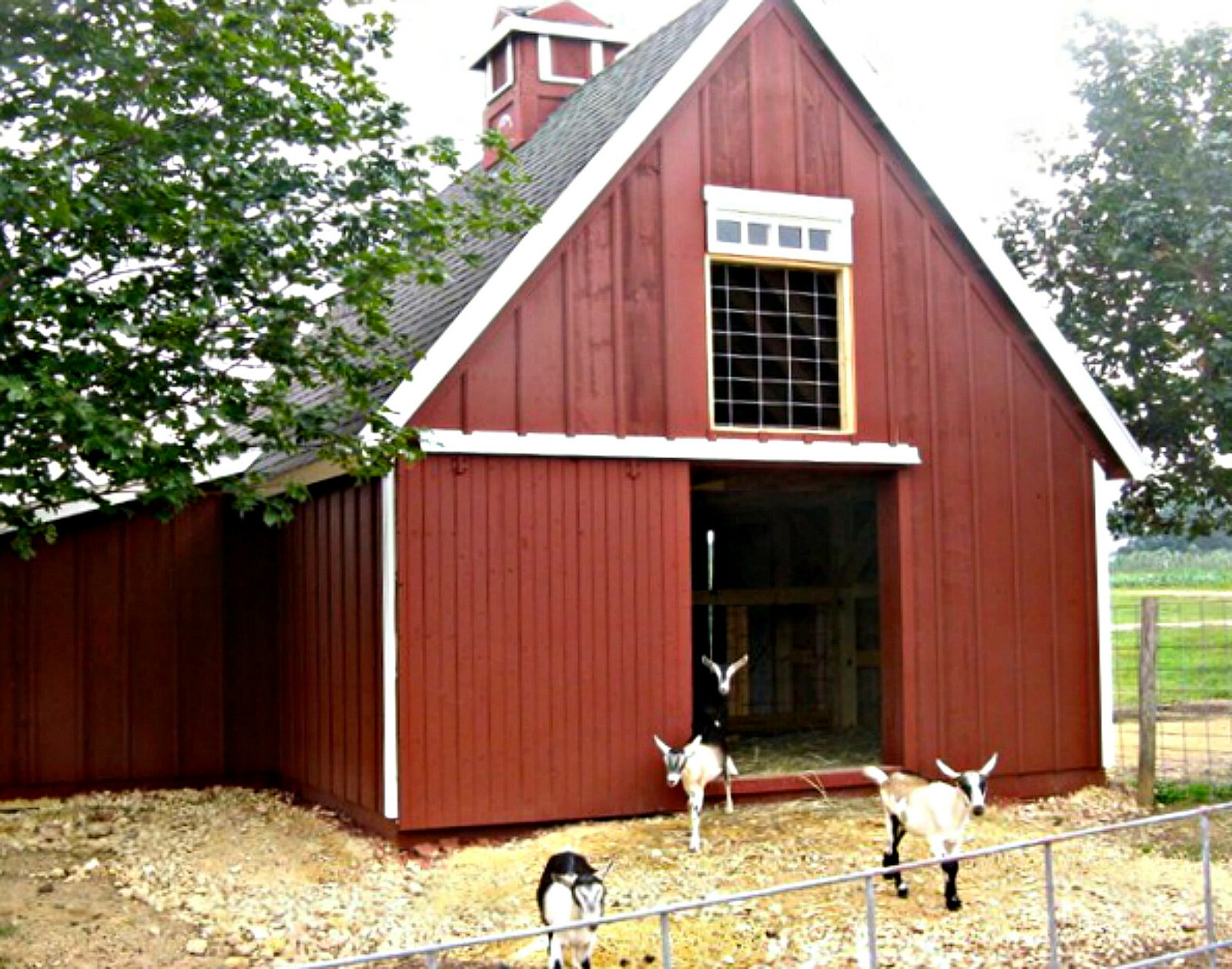 3 Small Animal Barn Designs- Complete Pole-Barn Construction Plans (B2 ...