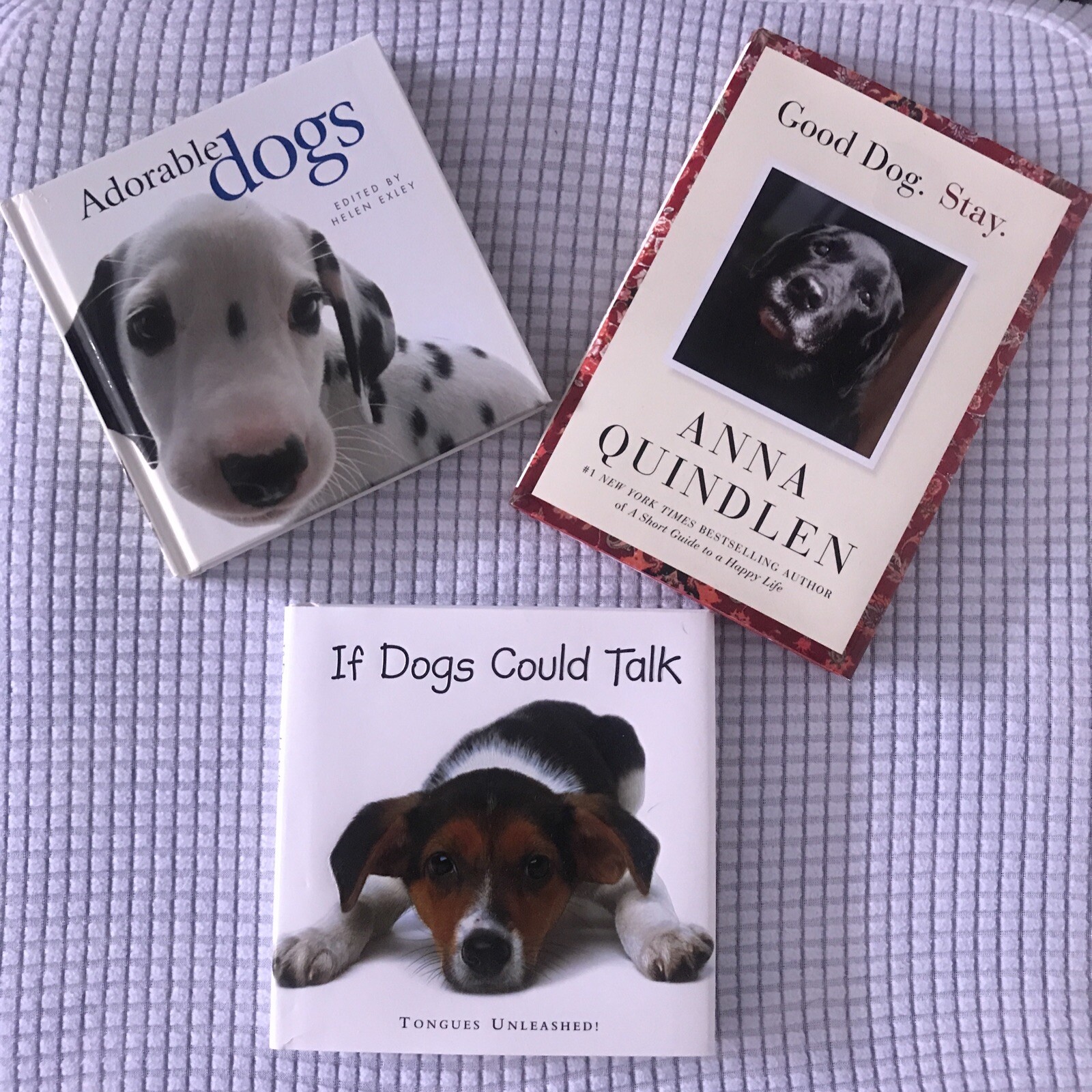 If Dogs Could Talk / Adorable Dogs / Good Dog.Stay Lot of 3 Books For ...