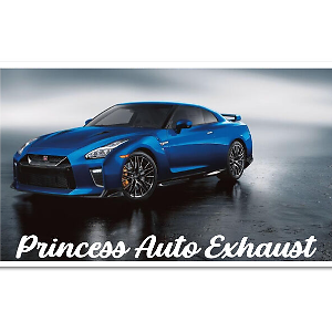 Princess Auto Exhaust | eBay Stores