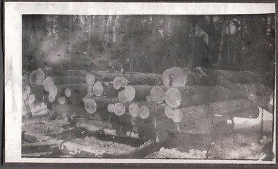 VINTAGE PHOTOGRAPH 1915-20 RAILROAD LOGGING CAMP FASHION LOGGERS ...