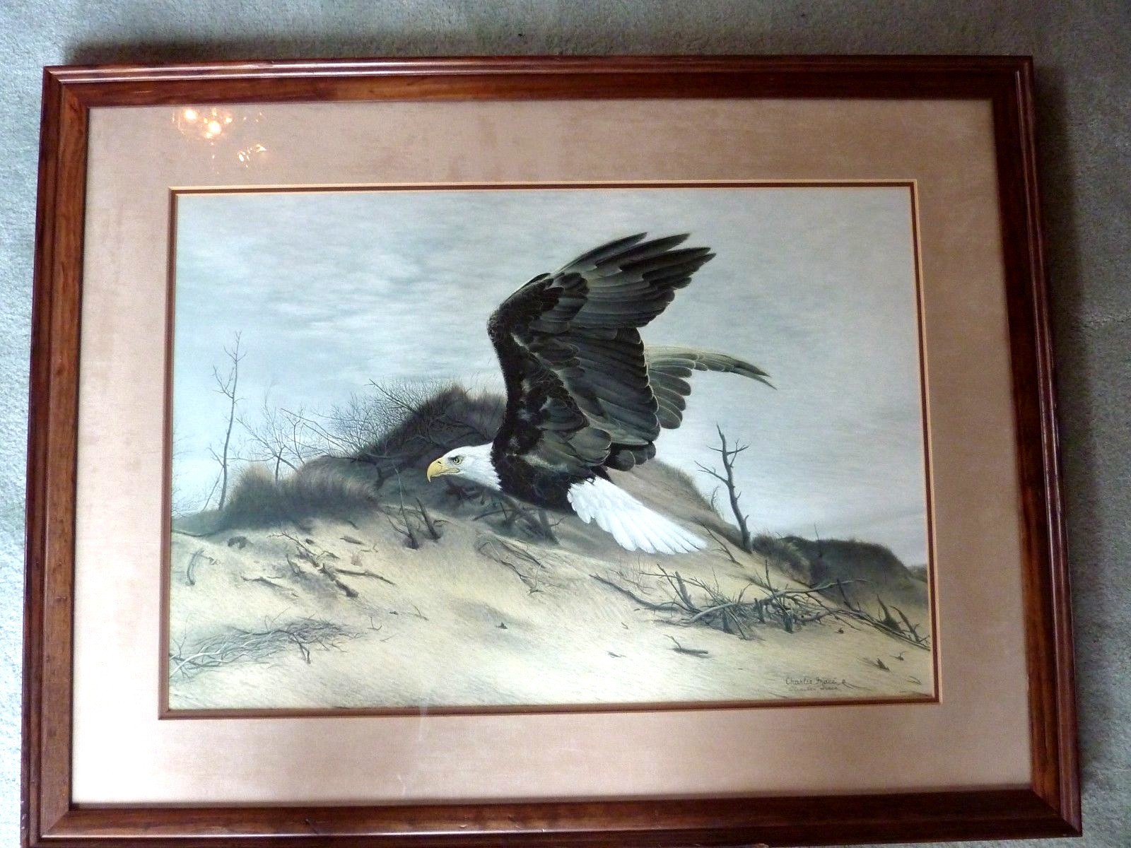 Charles Frace ( American Eagle at Walking Dunes ) autographed Print ...
