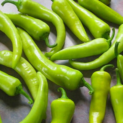 20 graines de POIVRON BANANE DOUX(Capsicum annuum SWEET BANANA)K58 ...