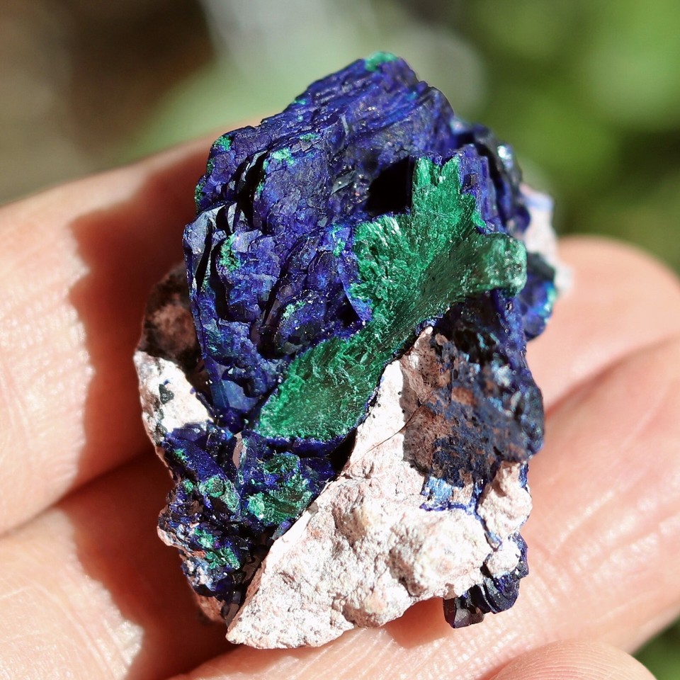 Mineral Specimen: Rich Color! Azurite from Milpillas Mine, Mexico ...