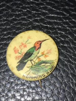 Vintage Pepsin gum Bird Pin - Hummingbird (c. 1896) | eBay