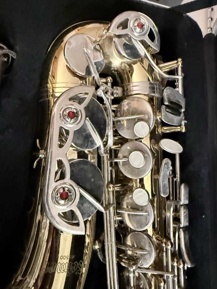 Selmer AS500 Alto Saxophone with Mouthpiece and Hard Case | eBay