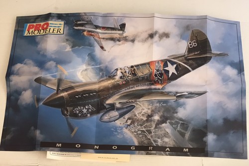 Revell Monogram Pro Modeler 1/48 P-40E Warhawk Plastic Model Kit 5921 ...