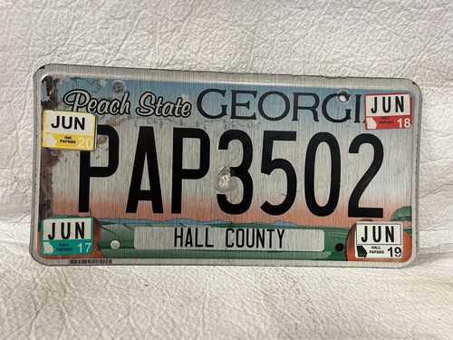 2017 Georgia License Plate ~ Hall County County | eBay