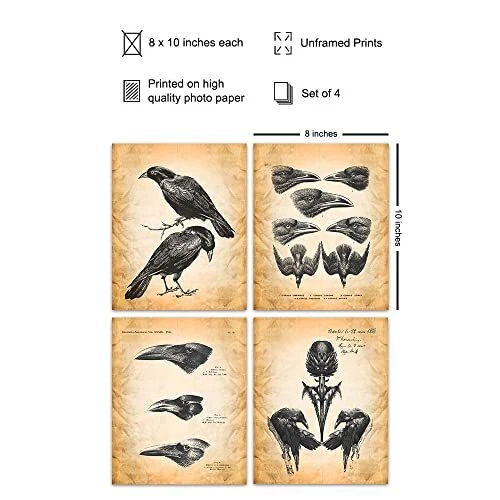 Edgar Allan Poe The Raven Setting