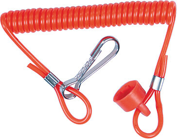 SPI 01-111-21 Safety Tether Switch | eBay