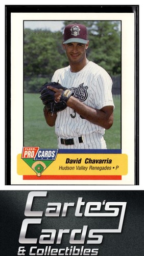 David Chavarria 1994 Fleer ProCards #3375 Hudson Valley Renegades | eBay