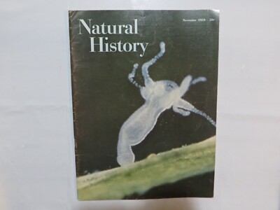 Natural History Magazine 1959 November 2W | eBay