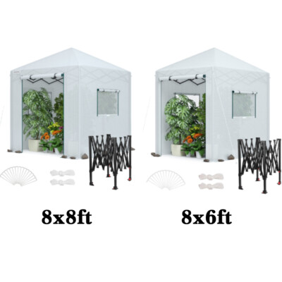 WORKPRO 8'x 8'/8'x6' Portable Walk-in Greenhouse Instant Pop-up ...