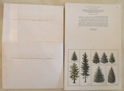 Lot of 25 Christmas Greeting Cards, 25 Envelopes, Pine Trees, Unused ...