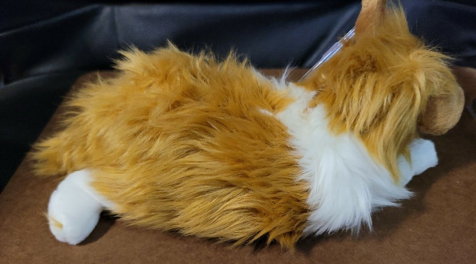 💝 Ty Beanie Baby " CASSIE" The Collie Dog MINT TAGS HEART COVER NEW | eBay