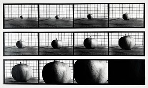 Katrina Doerner Photographs | eBay Stores