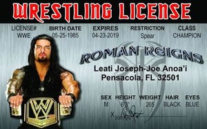 Roman Reigns wrestling novelty collectors card Drivers License wcw wwf ...