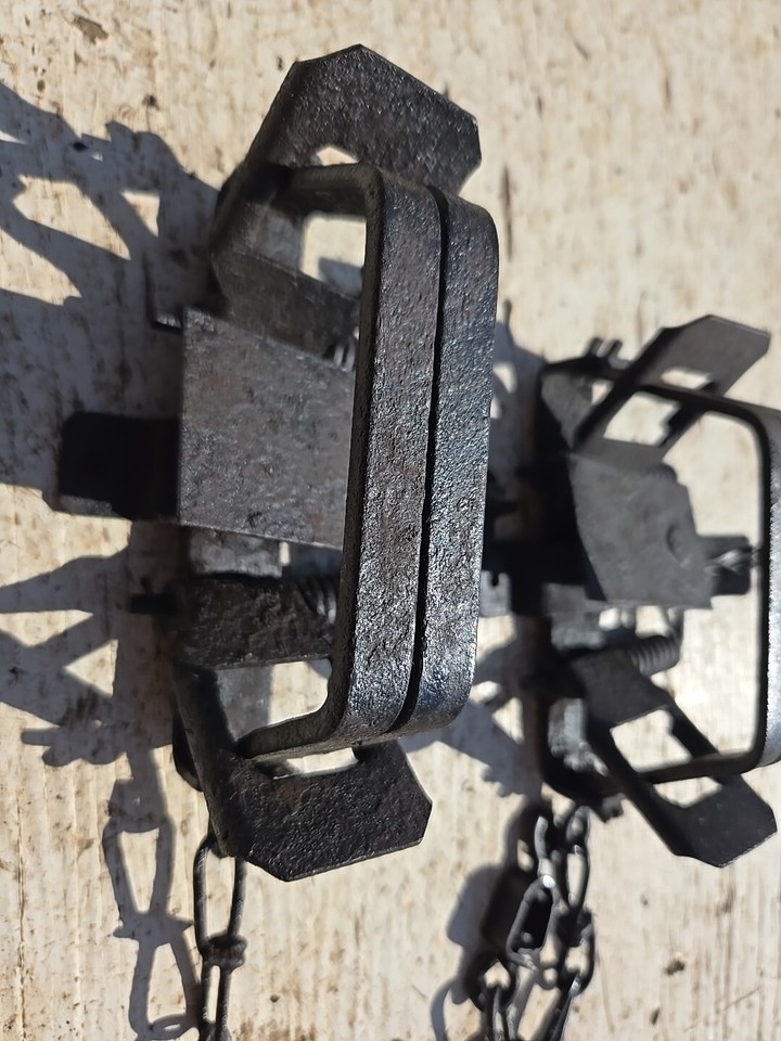 Lot (2) used Vintage Northwoods #2 Dogless Coil Spring Traps Square ...