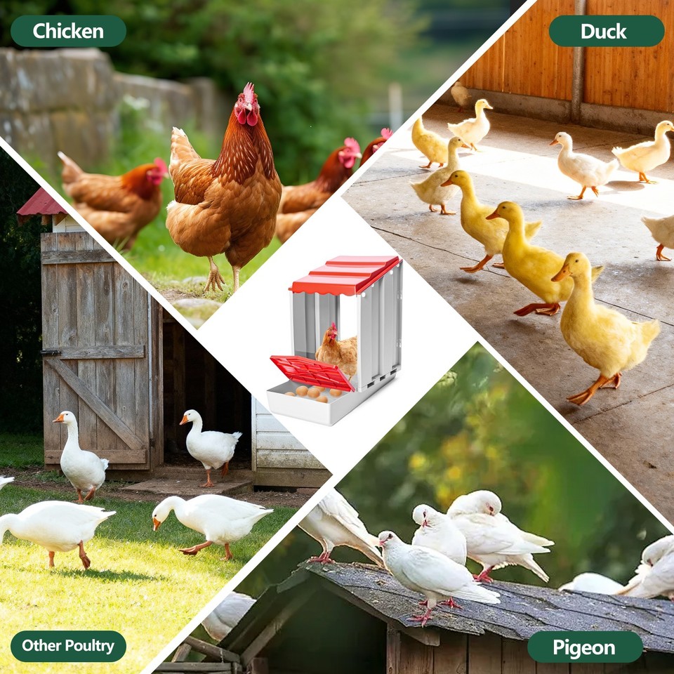 Chicken Nesting Boxes, 3 Hole Nesting Box For Chicken Coop, Plastic ...