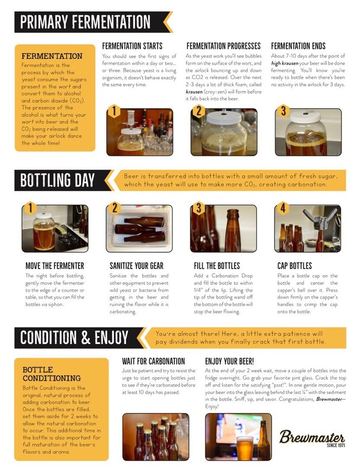 Brewmaster 1 Gallon Homebrew Starter Kit (Includes Irish Red Ale Recipe ...
