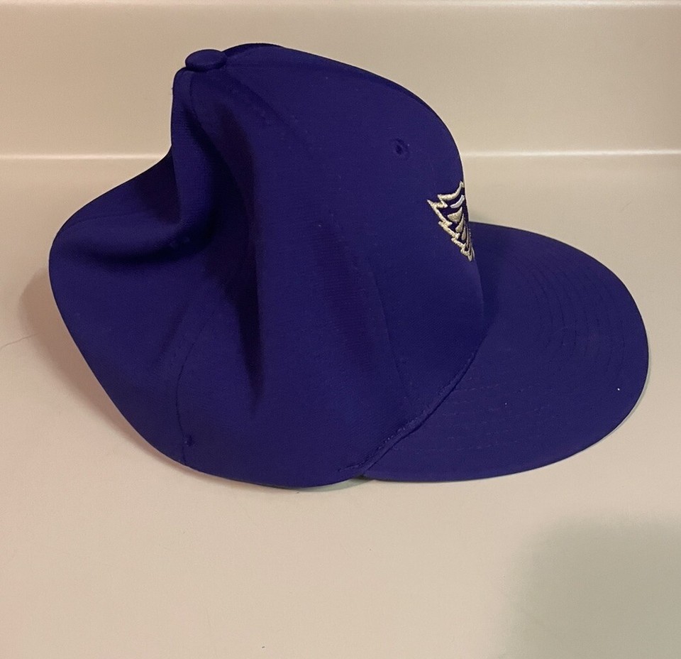 Loras College Duhawks Purple Baseball Hat/Cap Richardson Cap XS/S | eBay