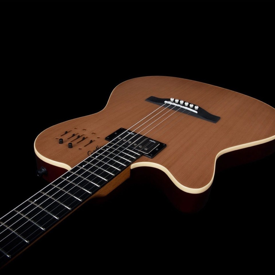 Acoustic Guitar Godin A6 ULTRA Natural SG Left-Handed 6-String | eBay