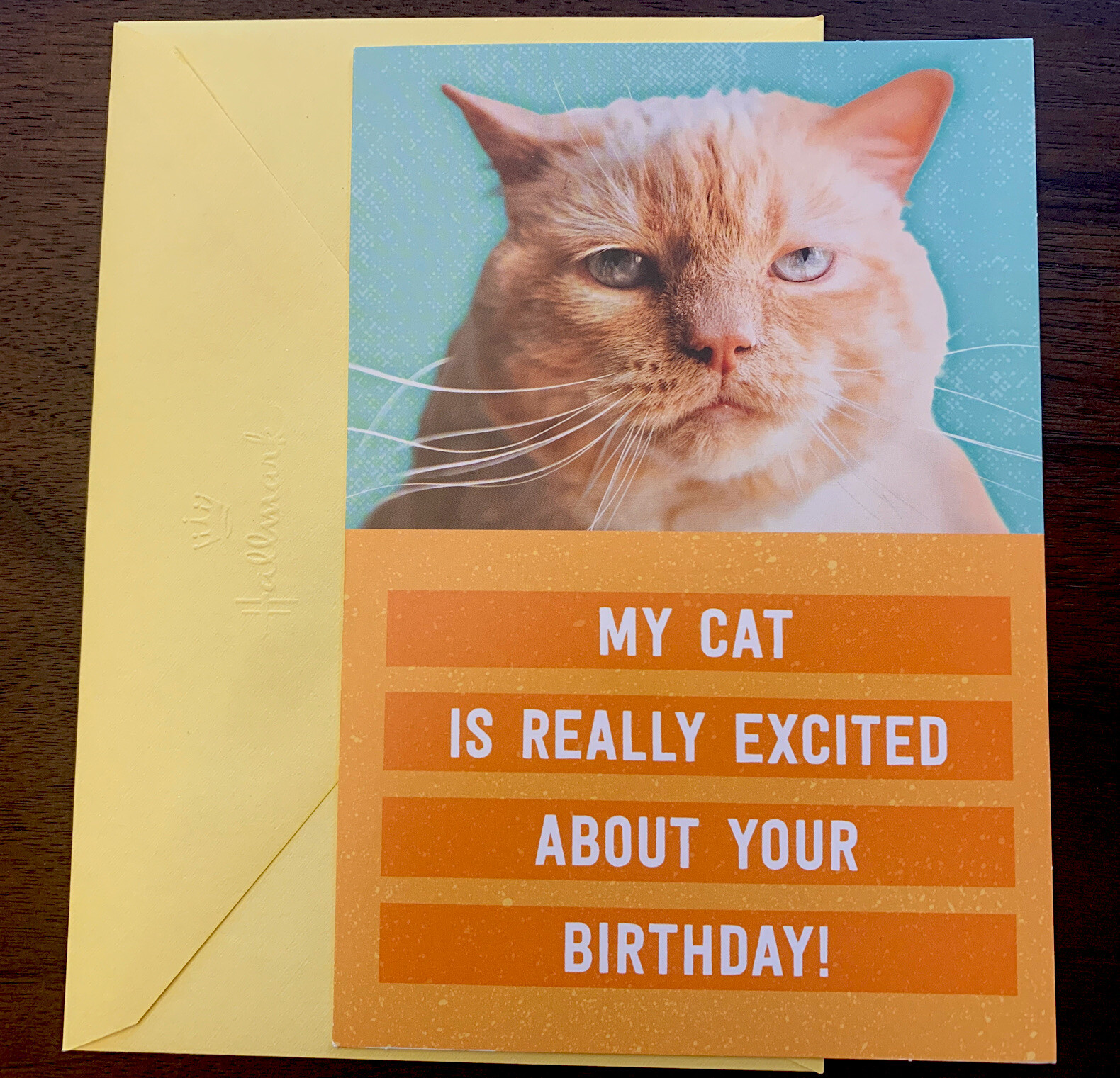 Grumpy Cat Birthday Card