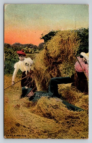 1907 Girls Raking Hay onto Policeman Romantic Officer Skylarking ...